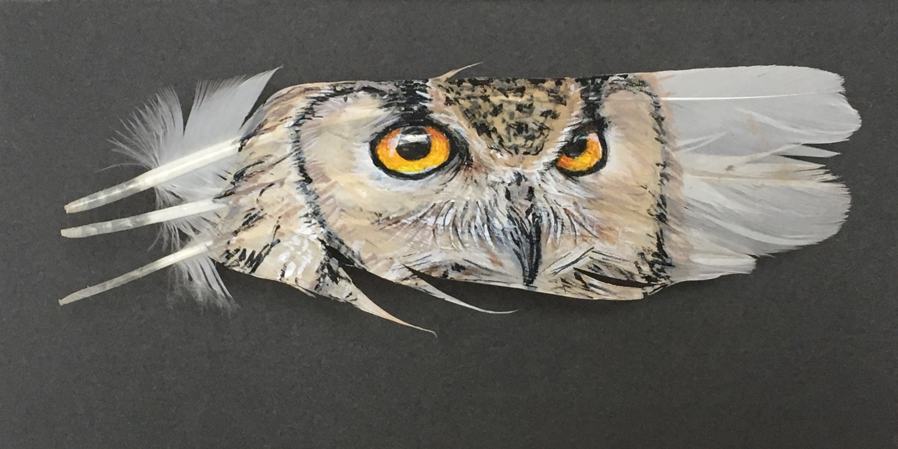 Feather Art - Real Feathers - The Feather Lady