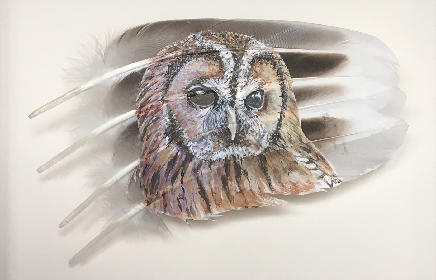 Feather Art - Real Feathers - The Feather Lady